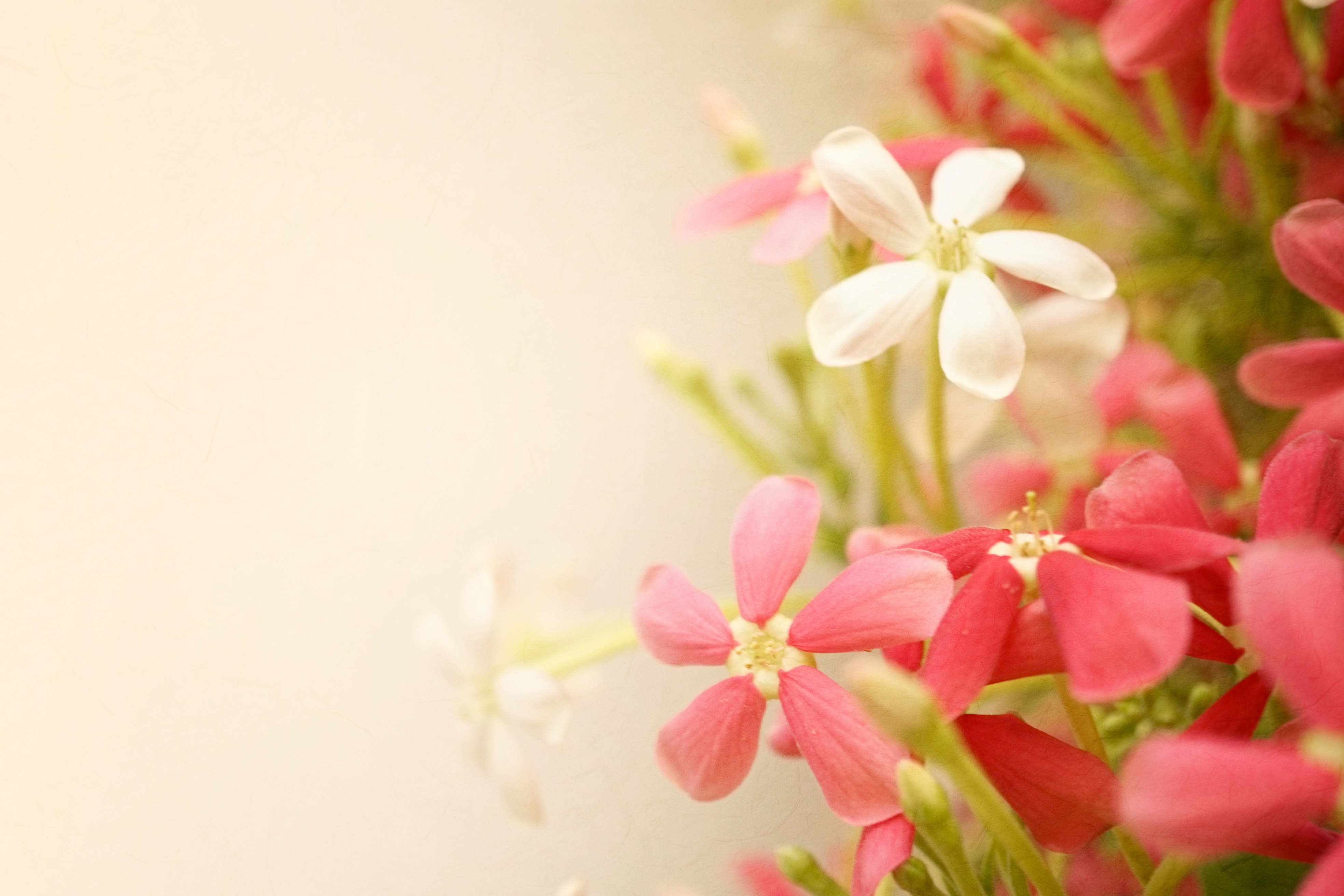 Author Hanna Klein's Blog